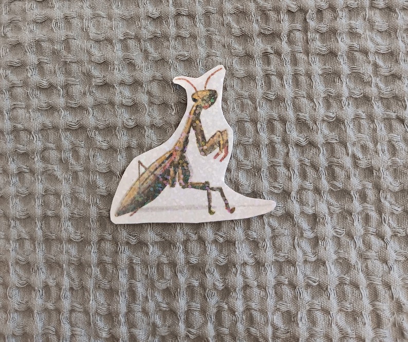 Praying Mantis Sticker - Etsy
