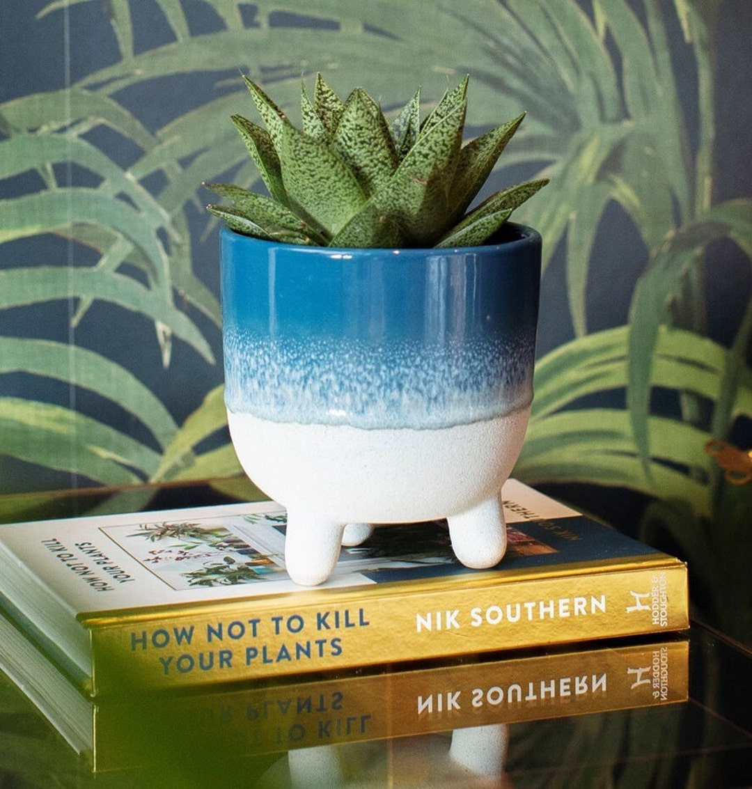 Large Fun Plant Pot Funky Pot Blue Plant Pot Ombre Plant Pot Small ...