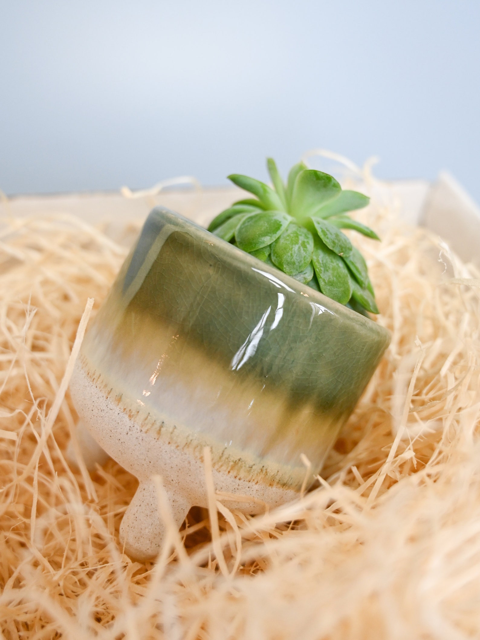 Fun Plant Pot With Plant Gift | Funky Pot | Green Plant Pot | Ombre ...