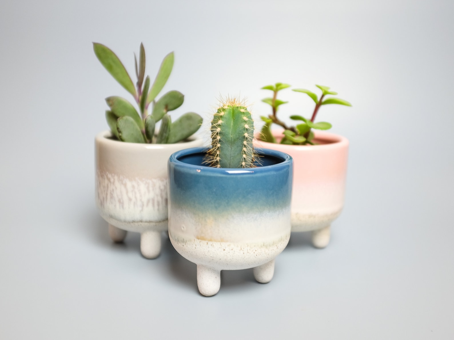 Fun Plant Pot With Plant Gift Funky Pot Green Plant Pot - Etsy UK