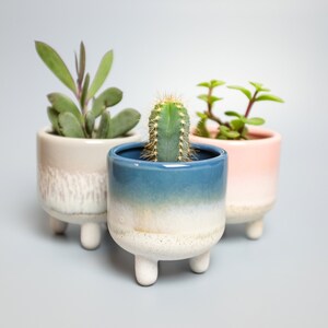 Fun Plant Pot With Plant Gift | Funky Pot | Green Plant Pot | Ombre ...