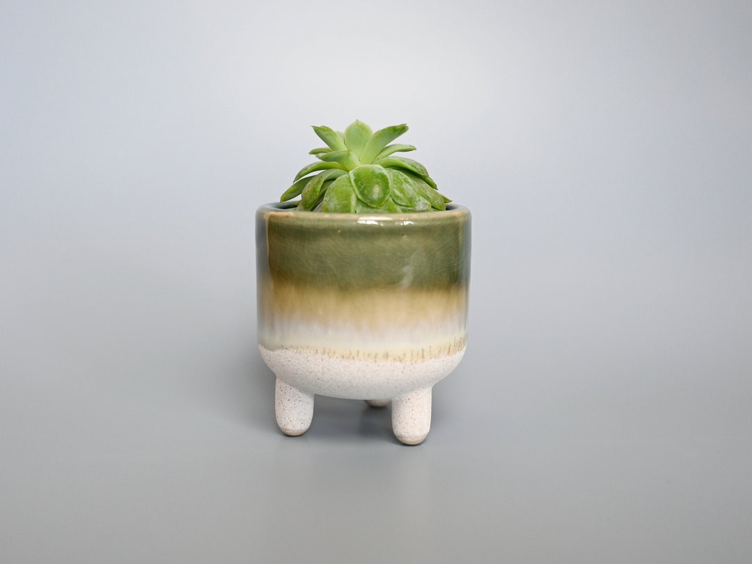 Fun Plant Pot With Plant Gift | Funky Pot | Green Plant Pot | Ombre ...