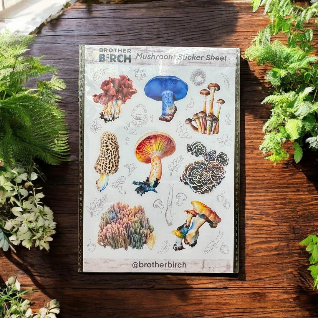 Mushroom Species Vinyl Sticker Sheet: Forager Gifts - Etsy