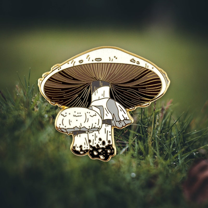 Mushroom Pin - Etsy