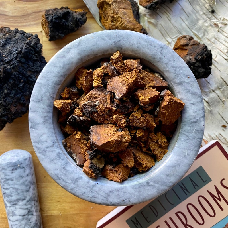 Chaga Mushroom - Etsy