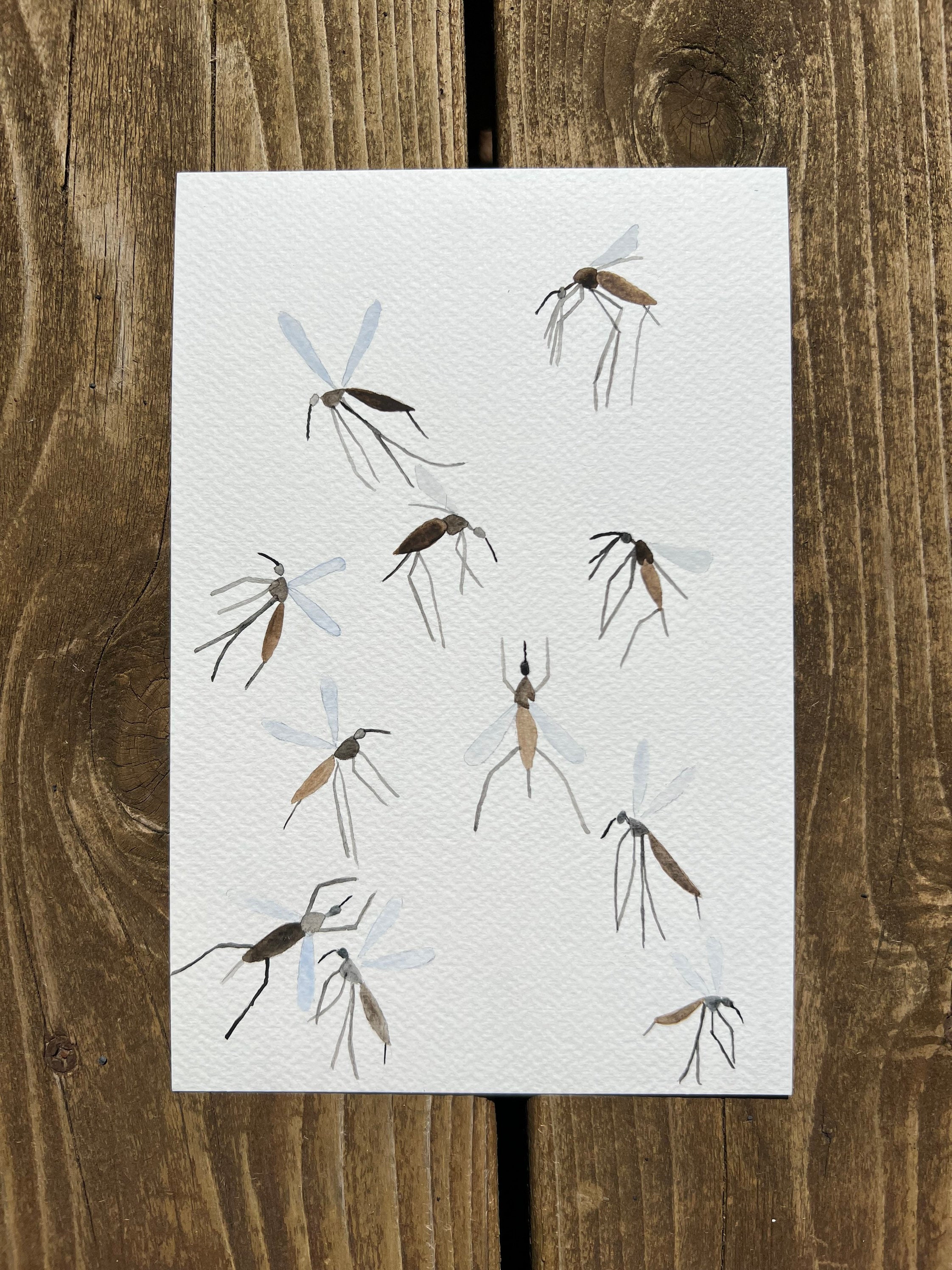 Mosquito Print - Etsy