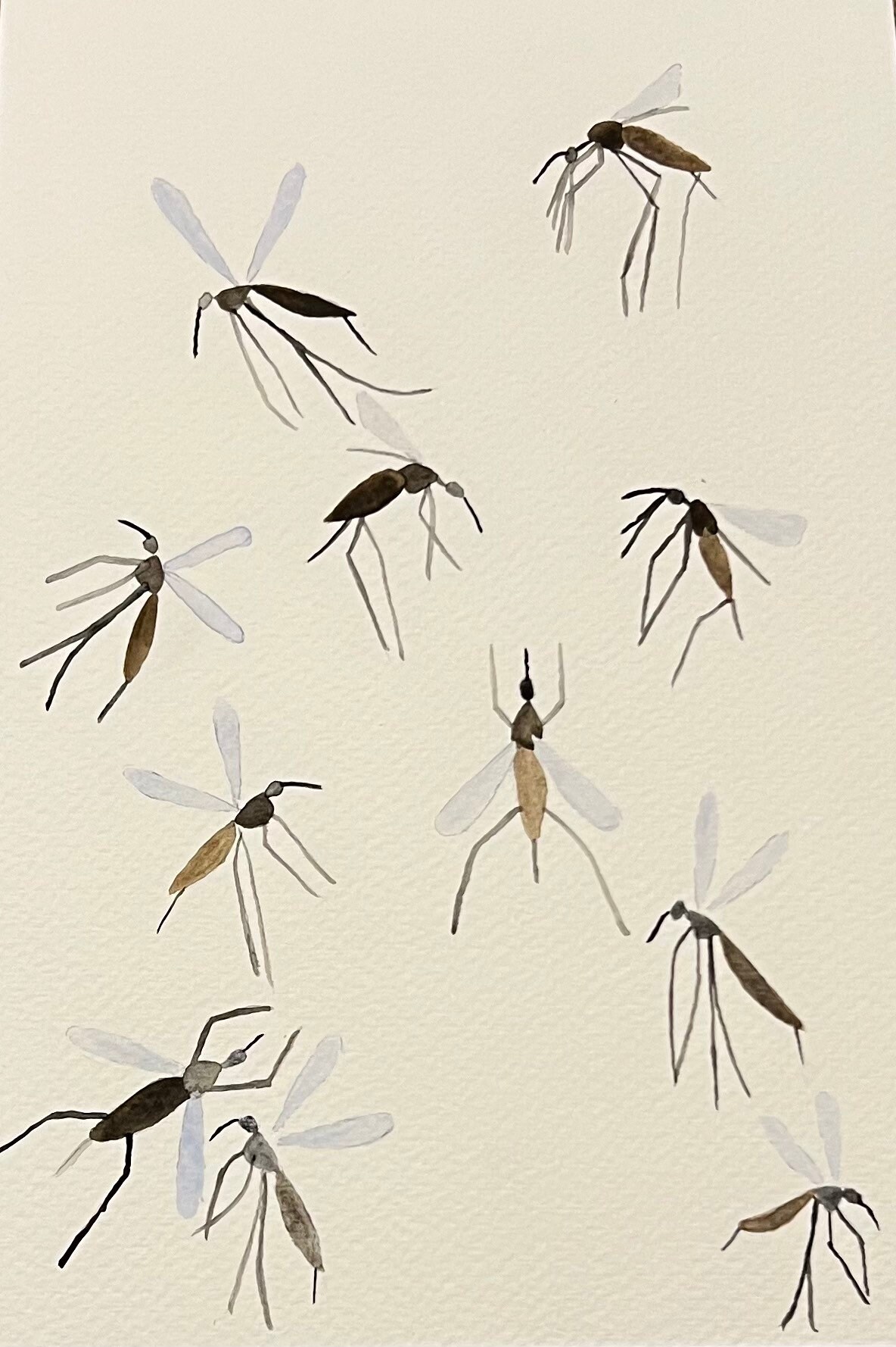 Mosquito Print - Etsy