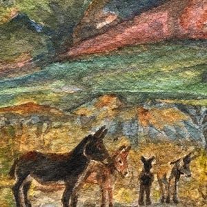 Burros at the Swimming Hole - Etsy