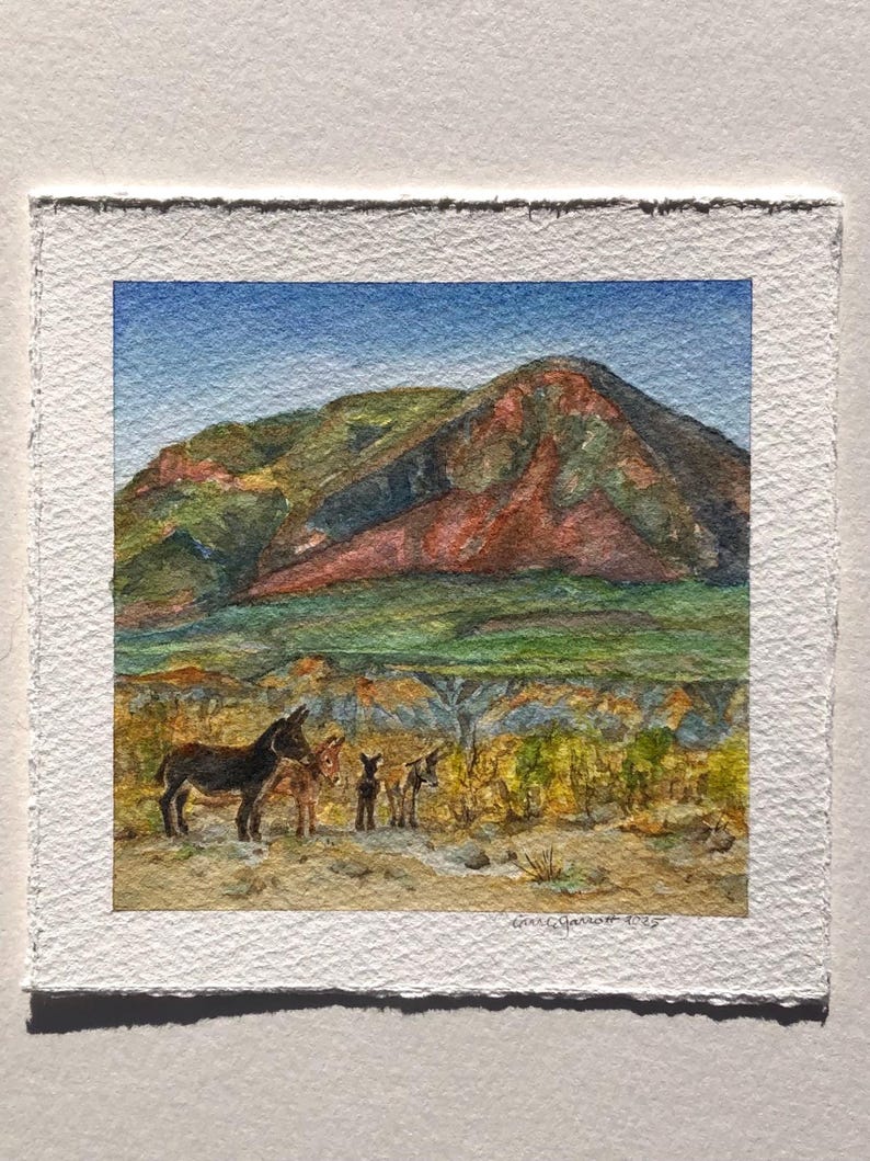 Burros at the Swimming Hole - Etsy