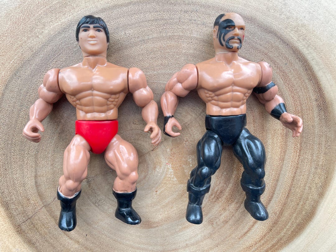 1985 AWA Remco Wrestling Figures, Hawk and Rick Martel, Lot of (2), Remco - Etsy
