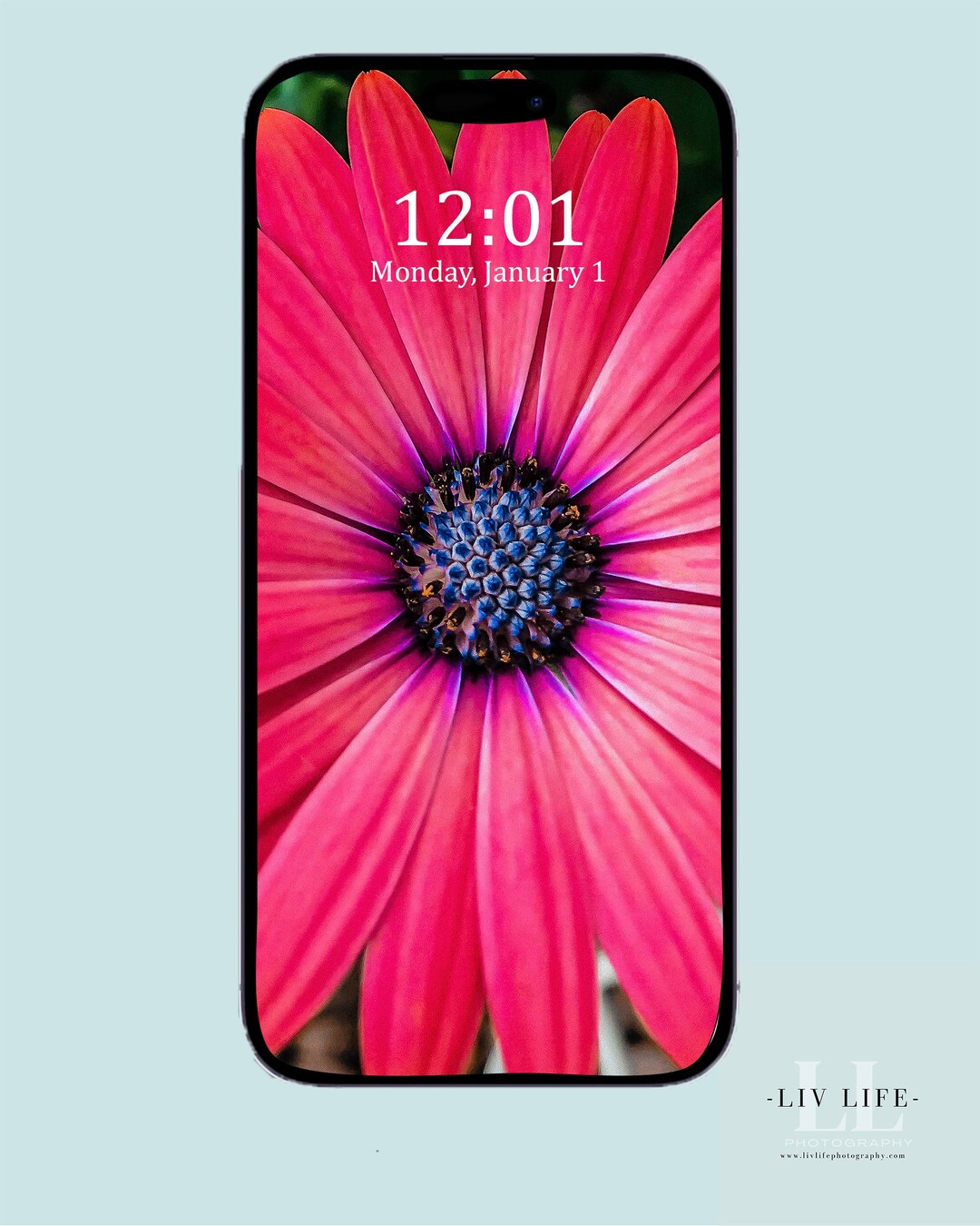 Flower Cell Phone Wallpaper Magenta Digital Photo Flower Nature Photo ...
