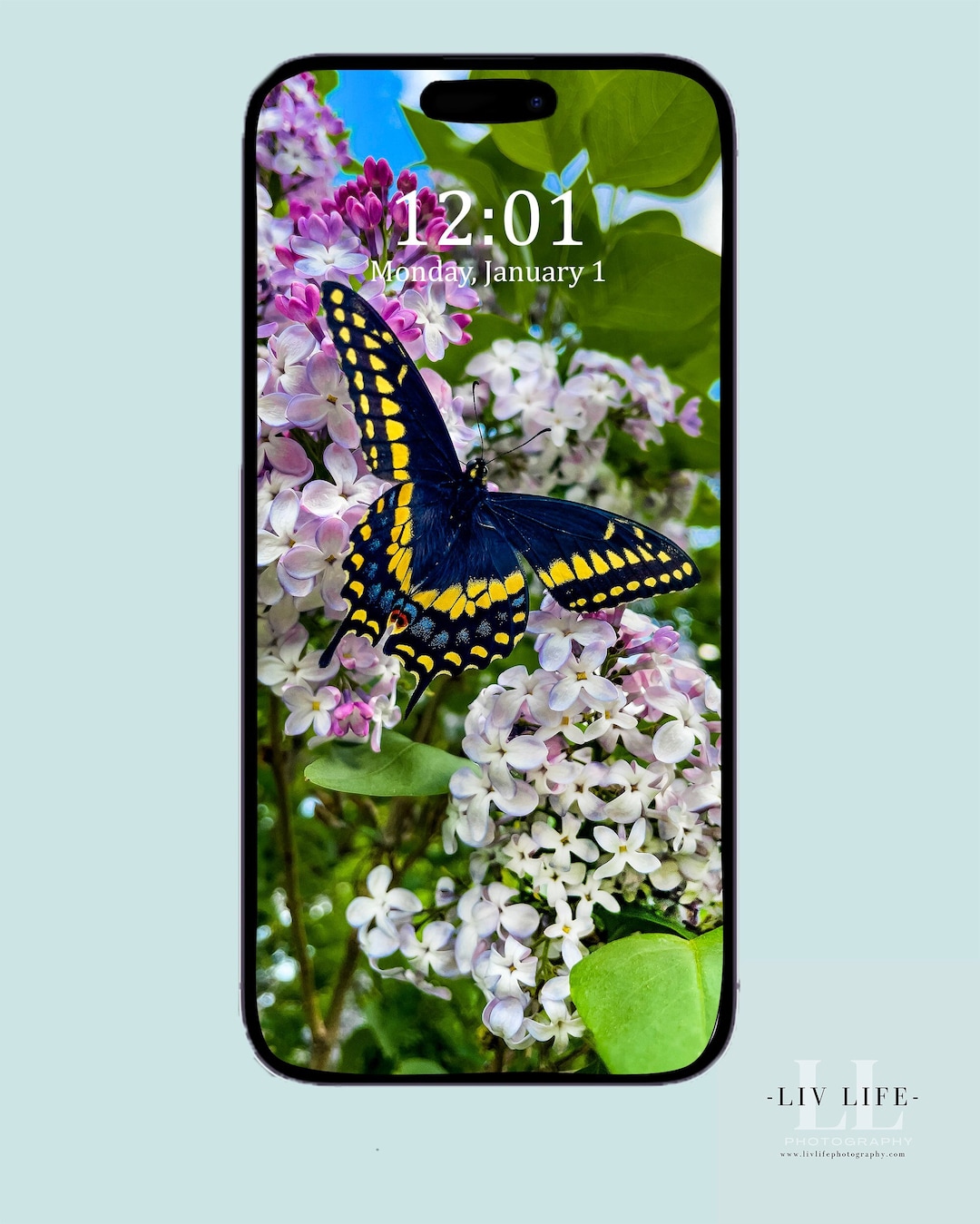 Butterfly Cell Phone Wallpaper Mobile Phone Digital Photo Wallpaper ...