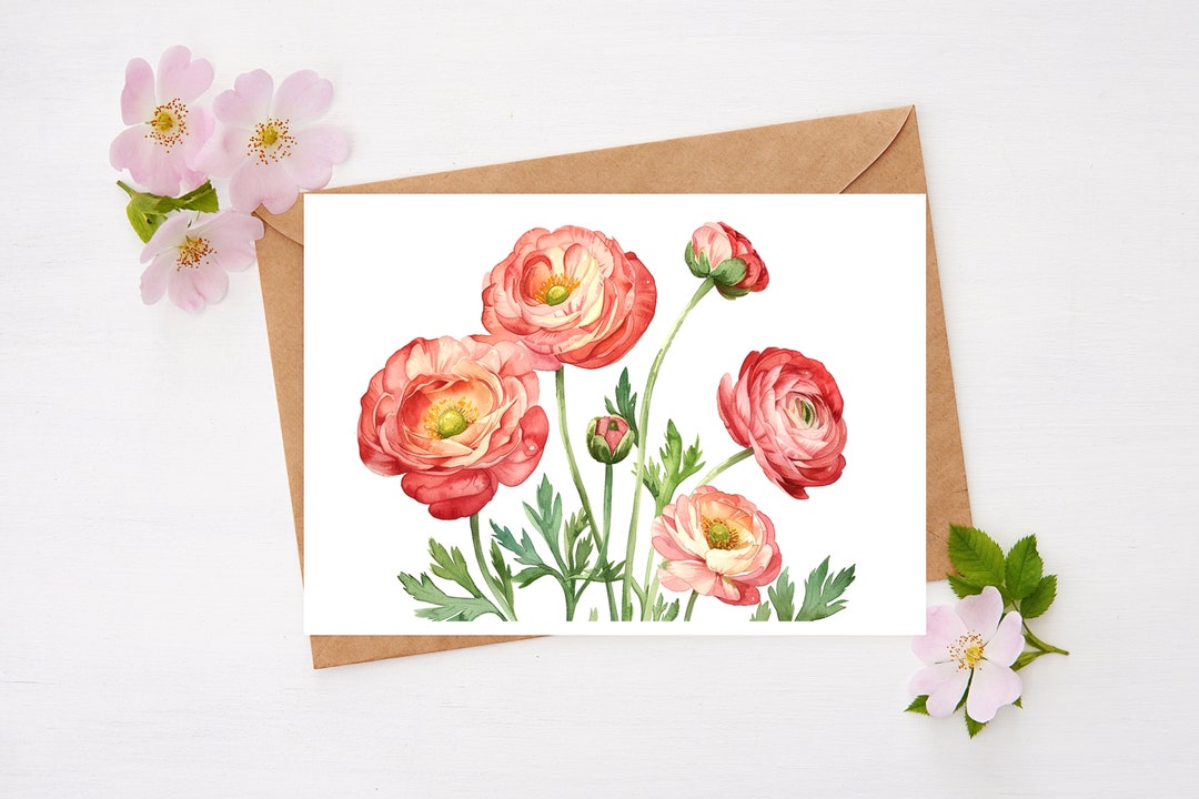 Ranunculus Botanical Greeting Card (BLANK PACK OF 3) - Etsy