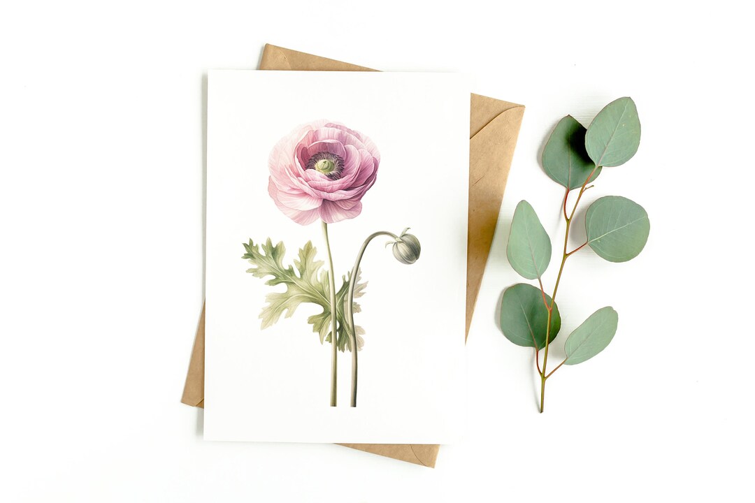 Ranunculus Botanical Greeting Card (BLANK PACK OF 3) - Etsy