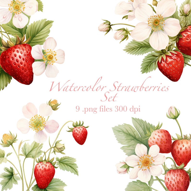Watercolor Strawberries Clipart PNG Set (9) - Etsy