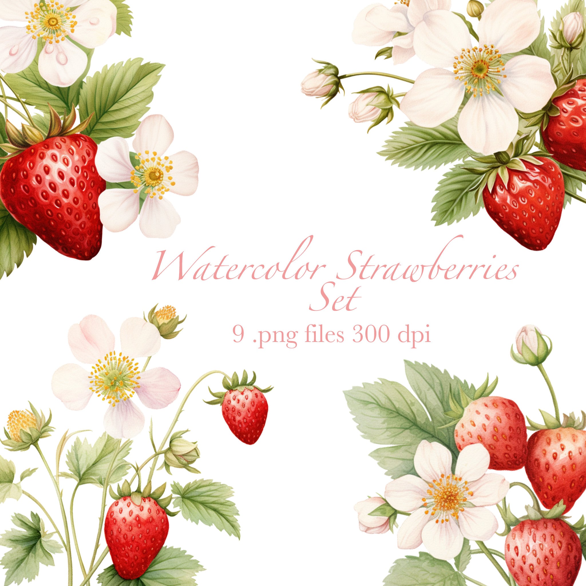 Watercolor Strawberries Clipart PNG Set (9) - Etsy