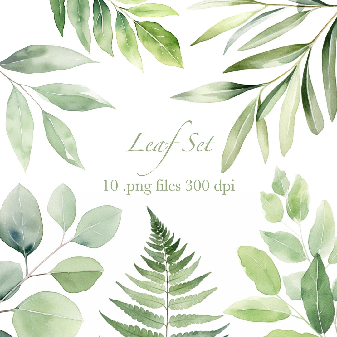 Watercolor Leaves Clipart PNG Set (10) - Etsy