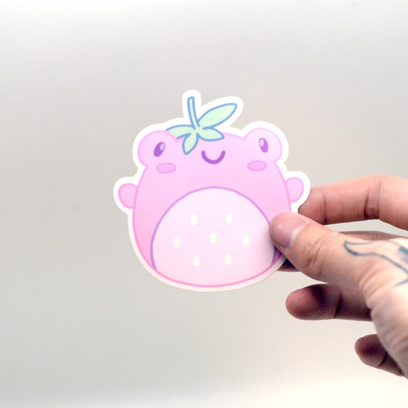 Large Froggy Sticker Pack (4 Stickers) - Etsy