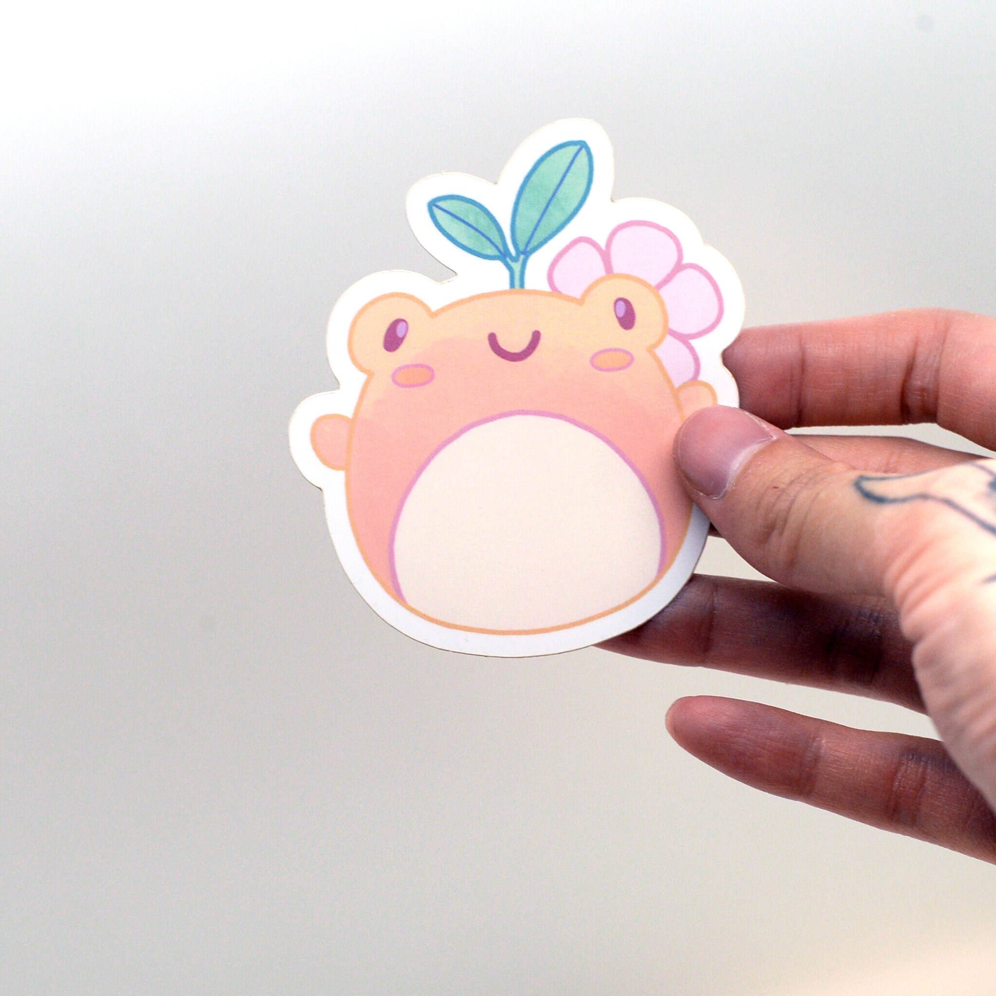 Large Froggy Sticker Pack (4 Stickers) - Etsy