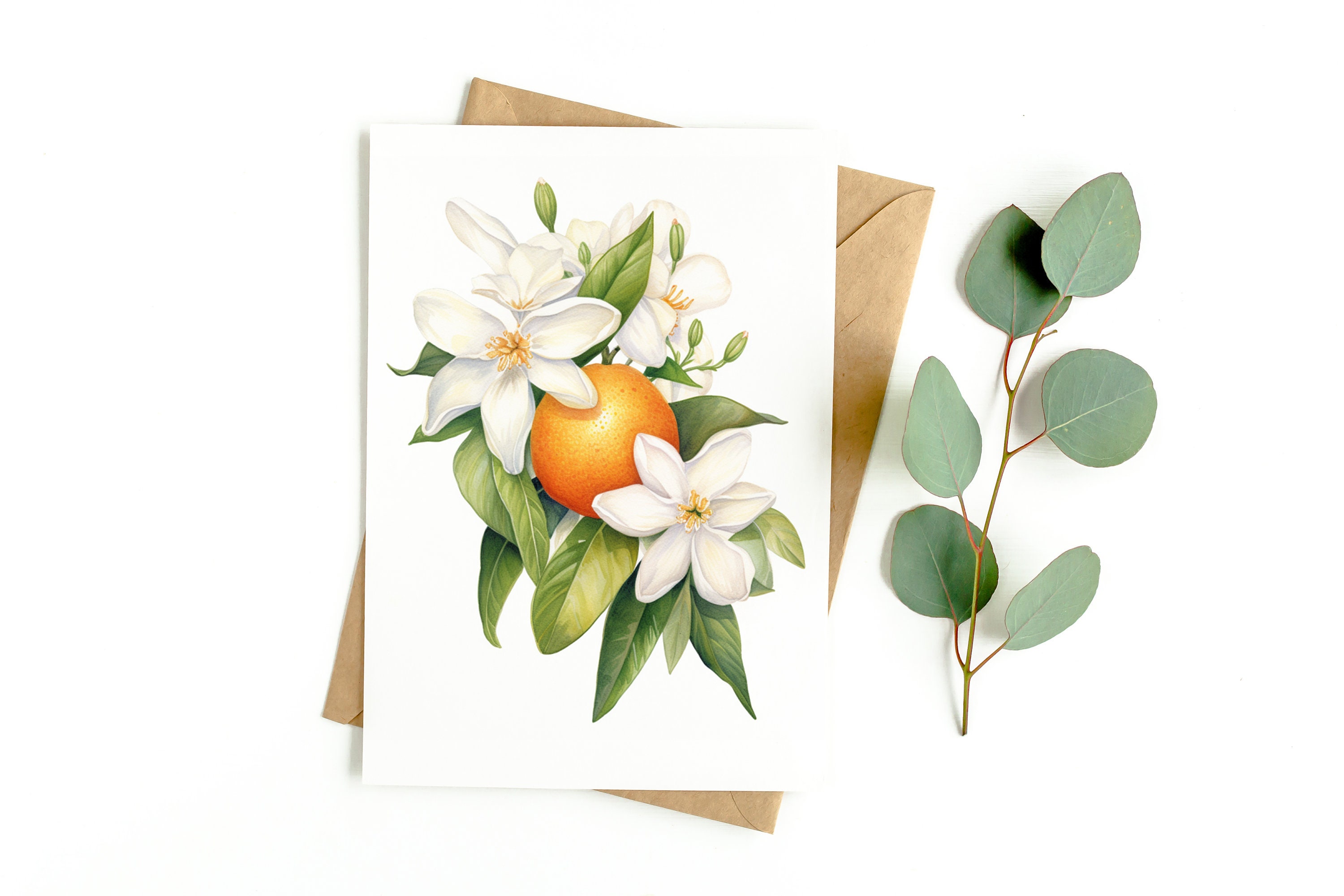 Watercolor Orange Blossom Clipart (8) PNG Set - Etsy