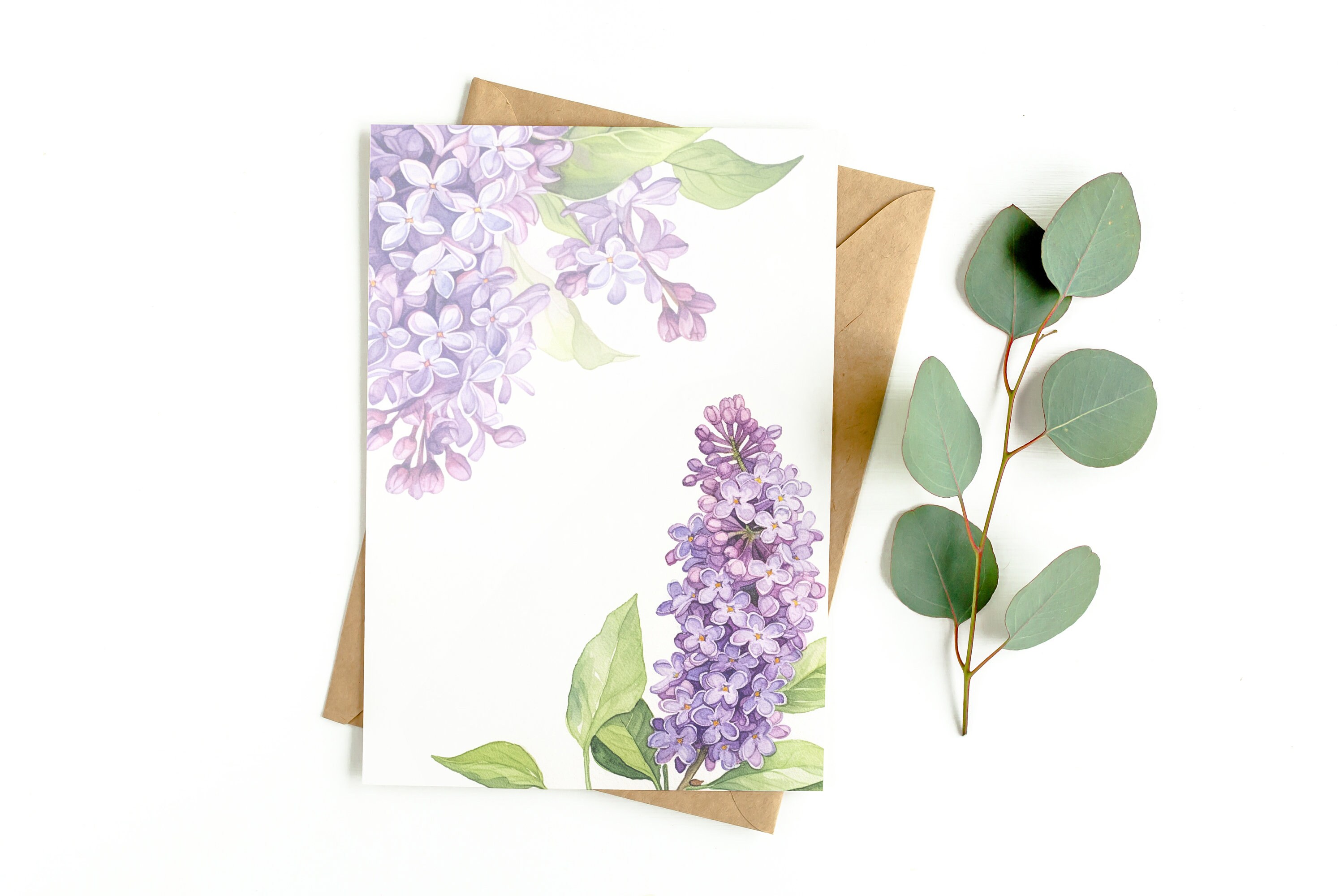 Watercolor Lilac Clip Art PNG Set (7) - Etsy