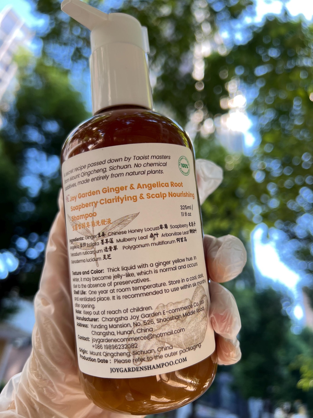Joy Garden Ginger& Angelica Root Soapberry Shampoo: Herbal Oil-control ...