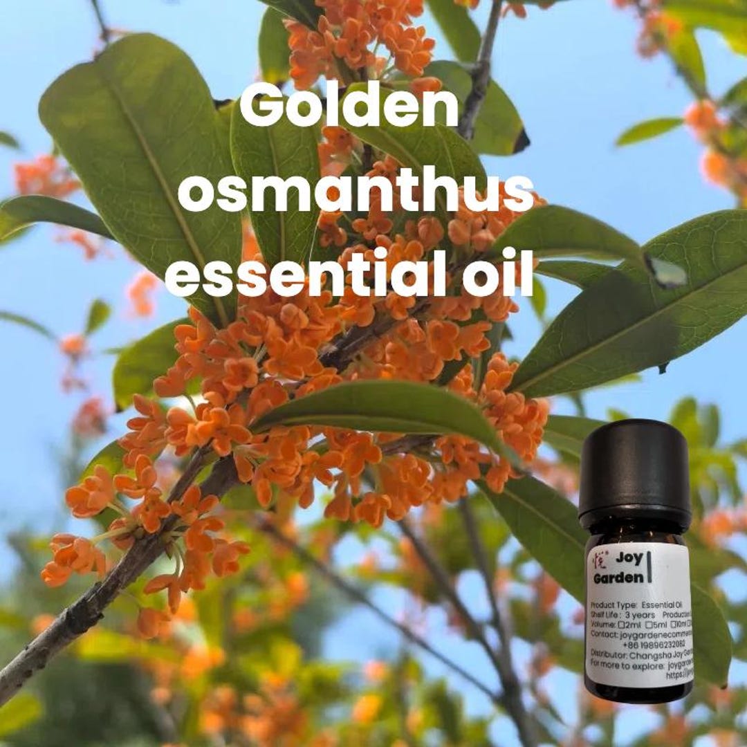 Joy Garden Golden Osmanthus Essential Oil: Pure Plant Oil - Etsy