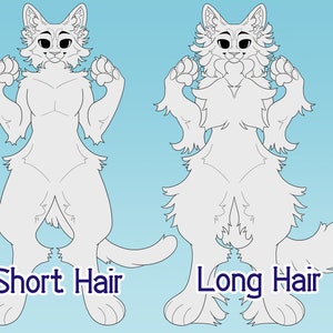 Cat Reference Sheet Base - Etsy