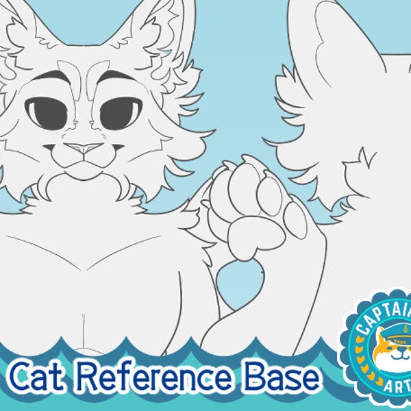 Cat Reference Sheet Base - Etsy Cat Reference Sheet Base - Etsy