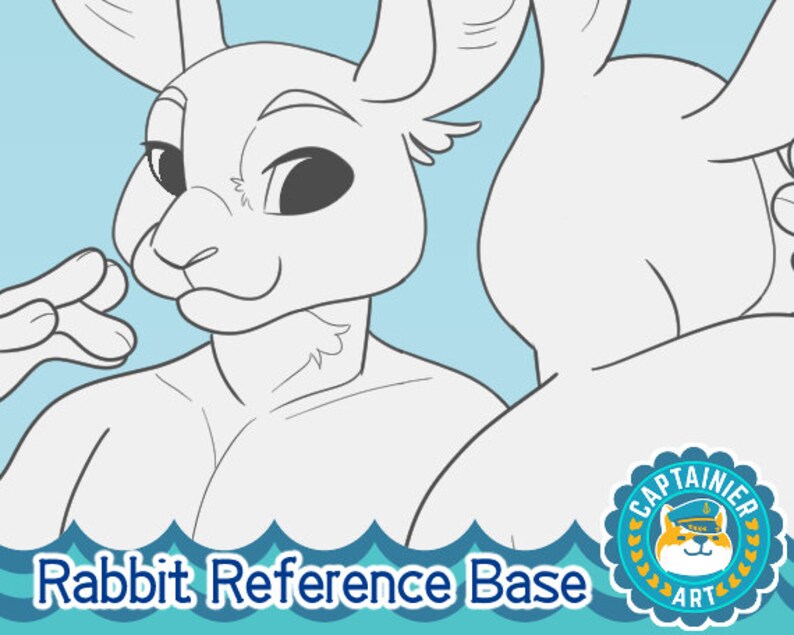 Rabbit Reference Sheet Base - Etsy