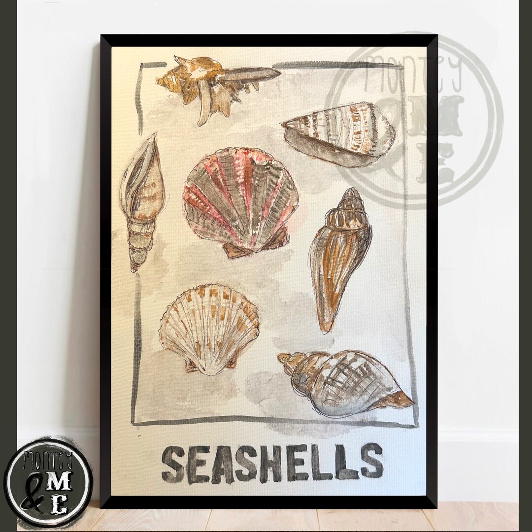 Sea Shells Print Artwork A4 A3 A2 Poster Vintage Costal Nautical ...