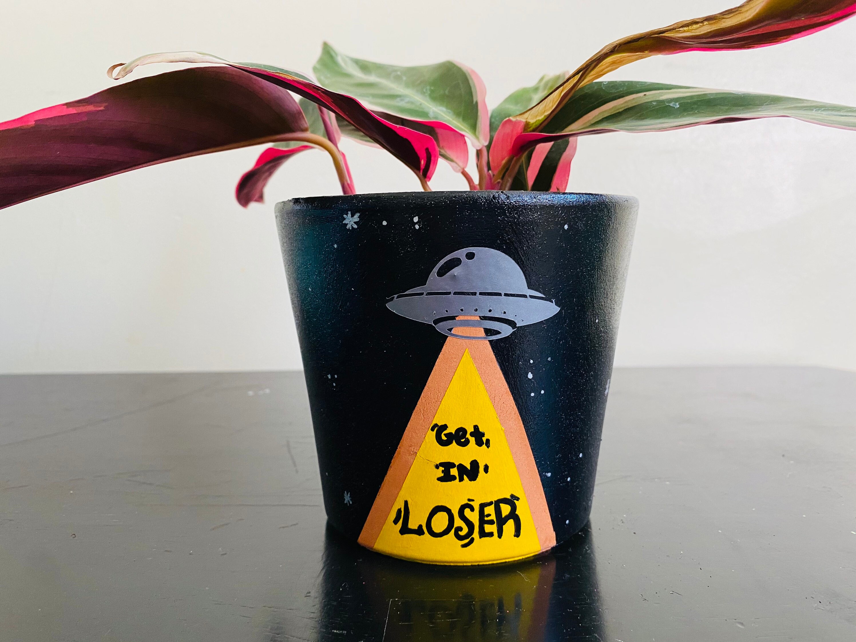 Get in Loser UFO Alien Plant Pot 4 inch | Etsy