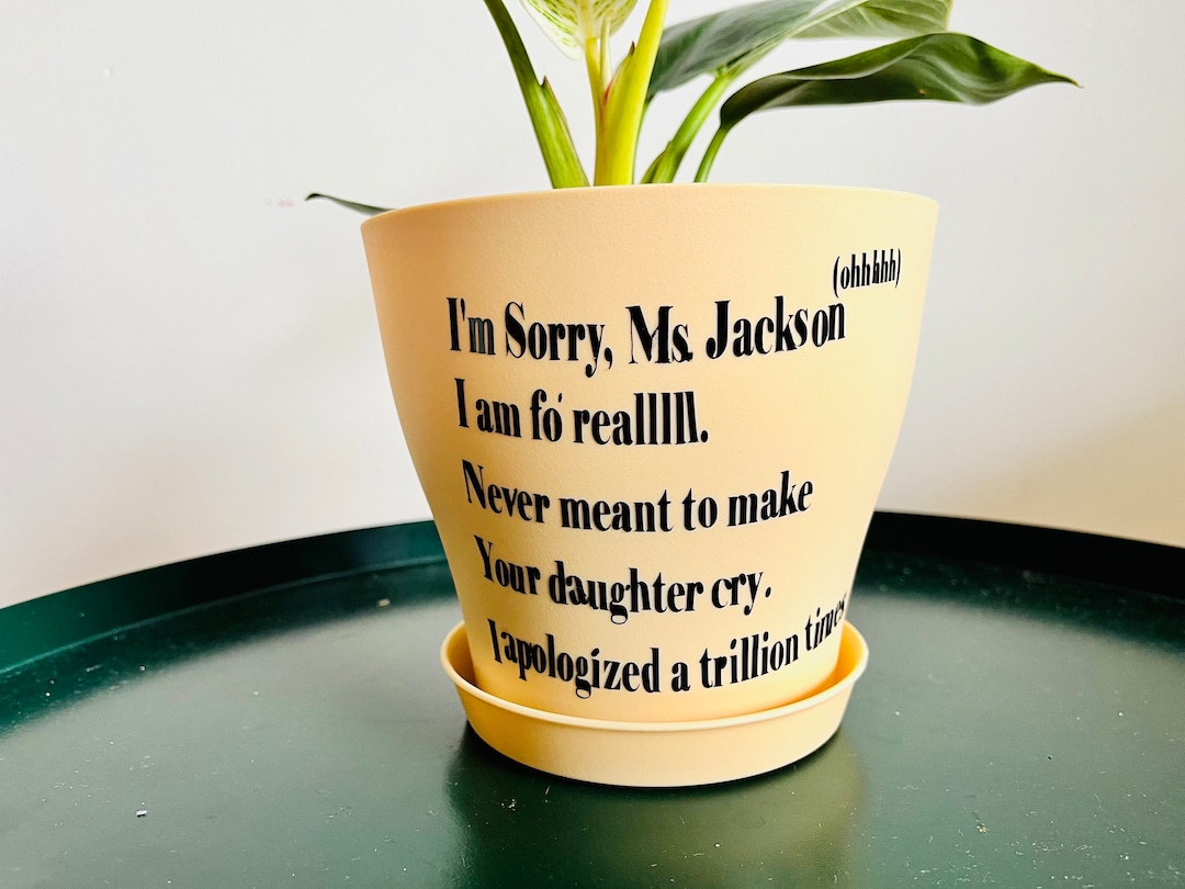 Outkast Im Sorry Ms. Jackson I Am for Real 6 Inch Plastic - Etsy