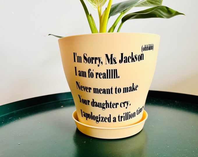 Outkast Im Sorry Ms. Jackson, I Am for Real 6 Inch Plastic Planter With ...