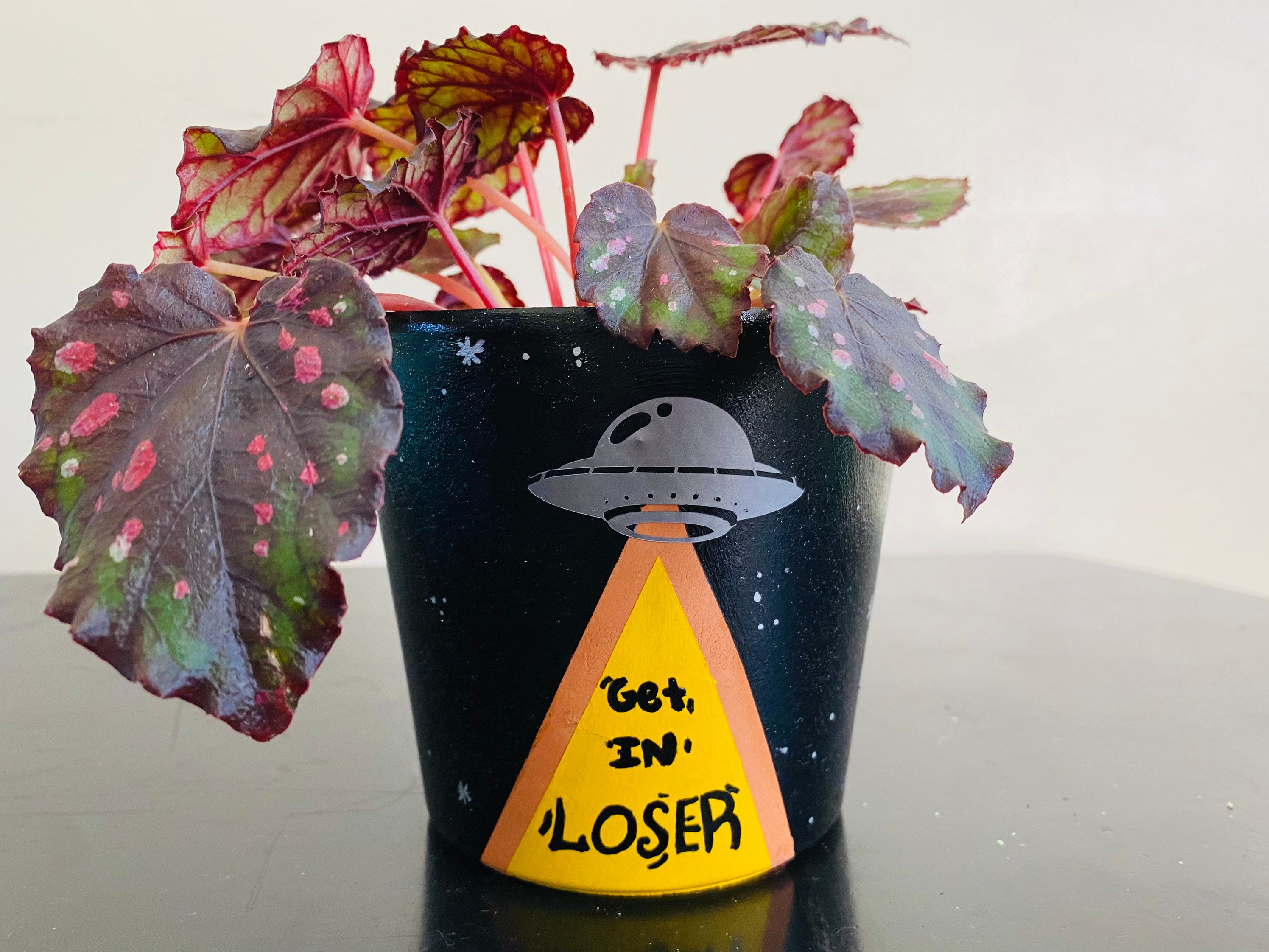 Get in Loser UFO Alien Plant Pot 4 inch | Etsy