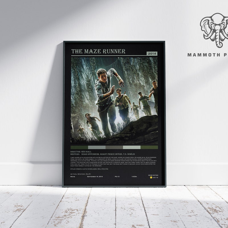 The Maze Runner - Etsy