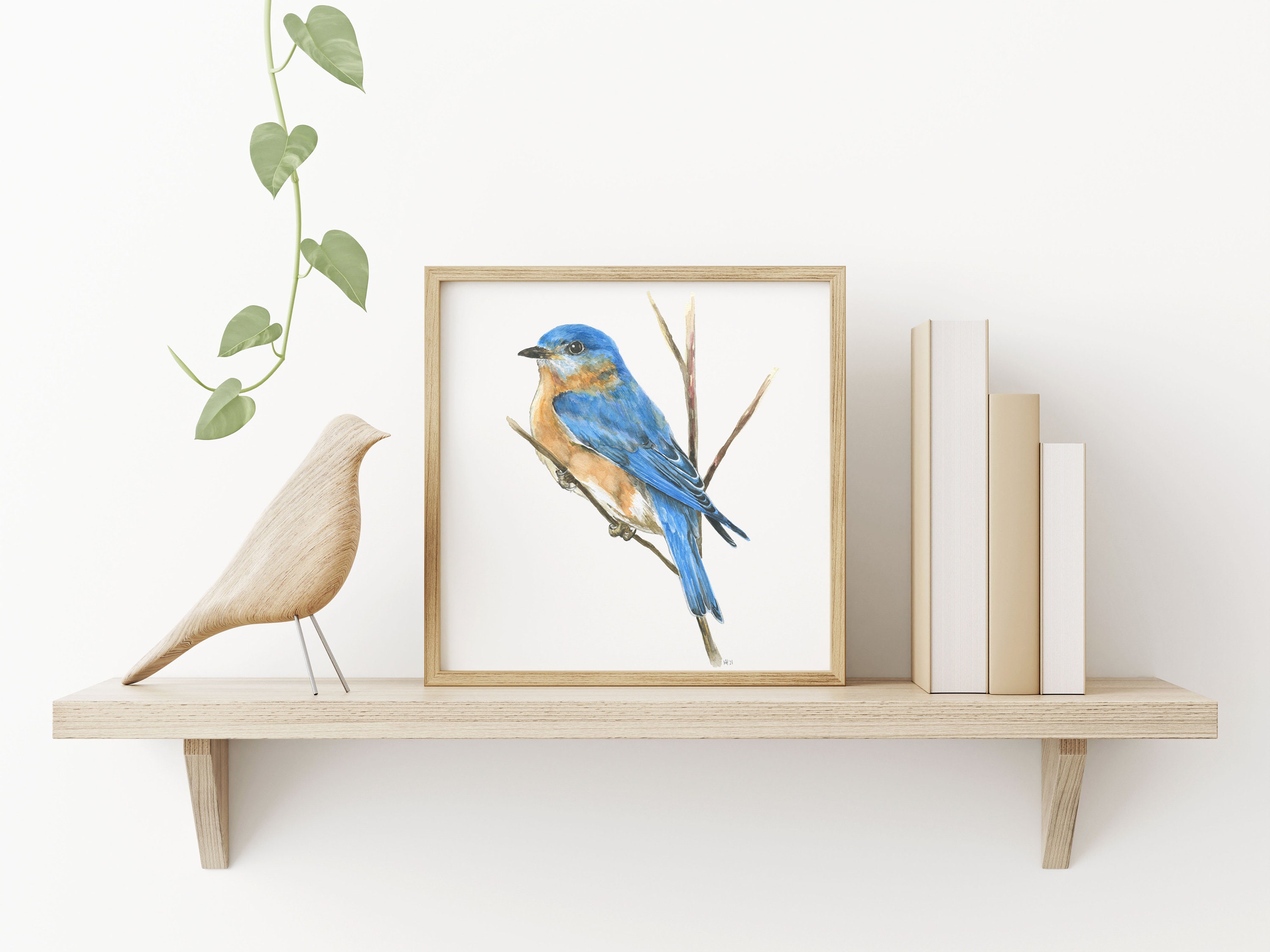 Eastern Bluebird Watercolor - Digital Print - Etsy