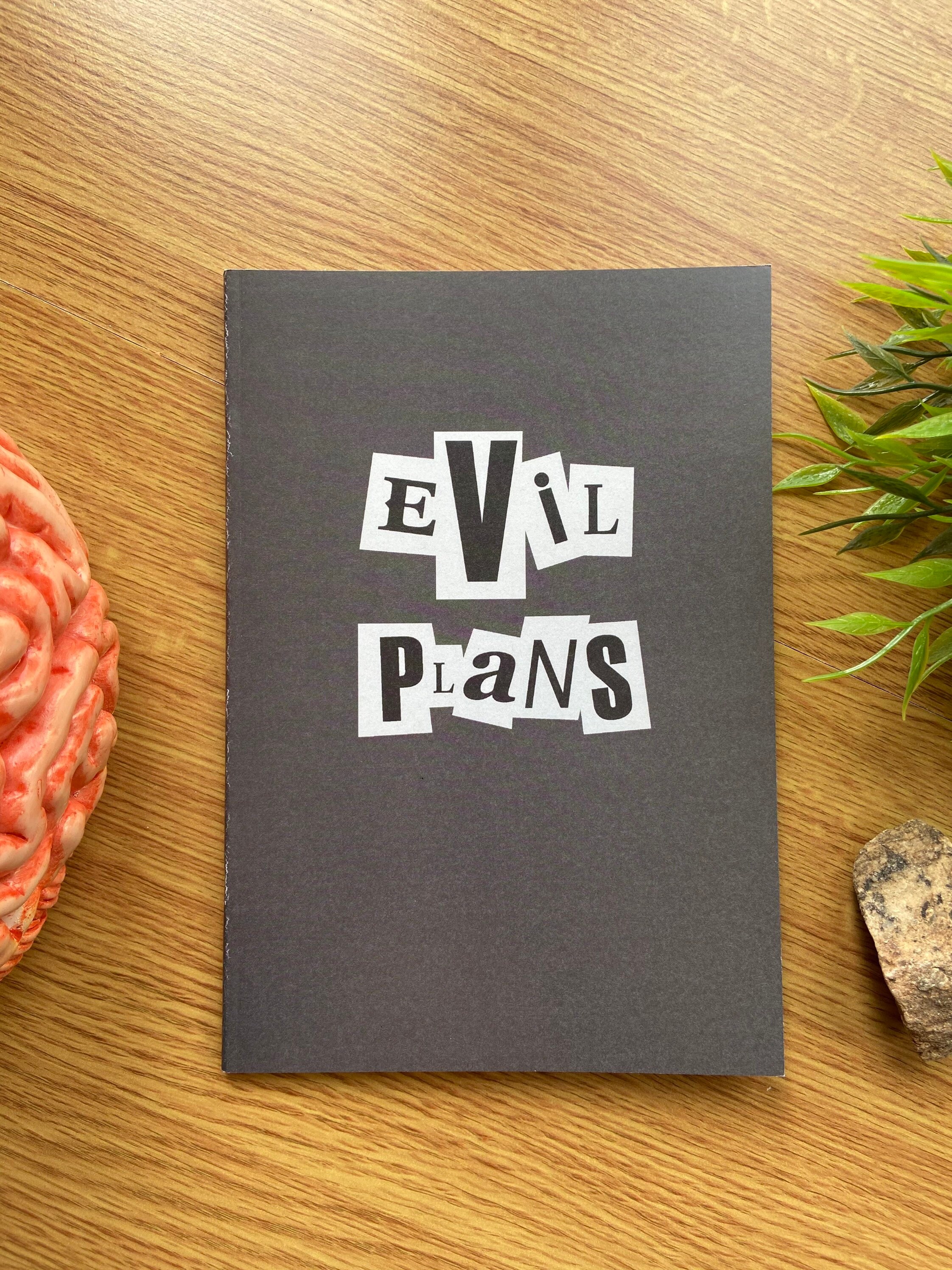Typography Grunge Decorative Stationery EVIL PLANS A5 LINED Notebook ...