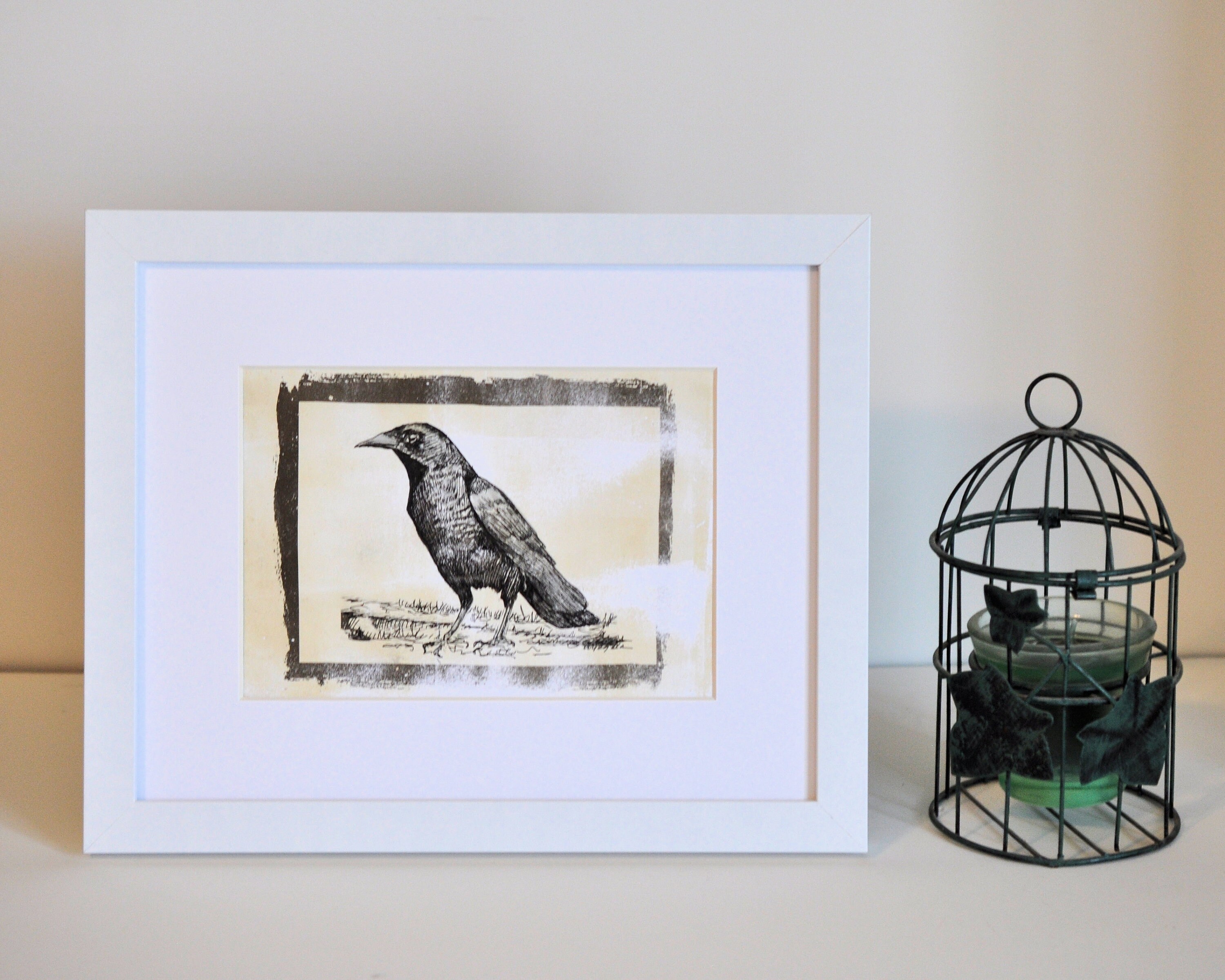 Crow Print, Crow Wall Art, Bird Photos, 8 X 10 Matted Print, Original ...
