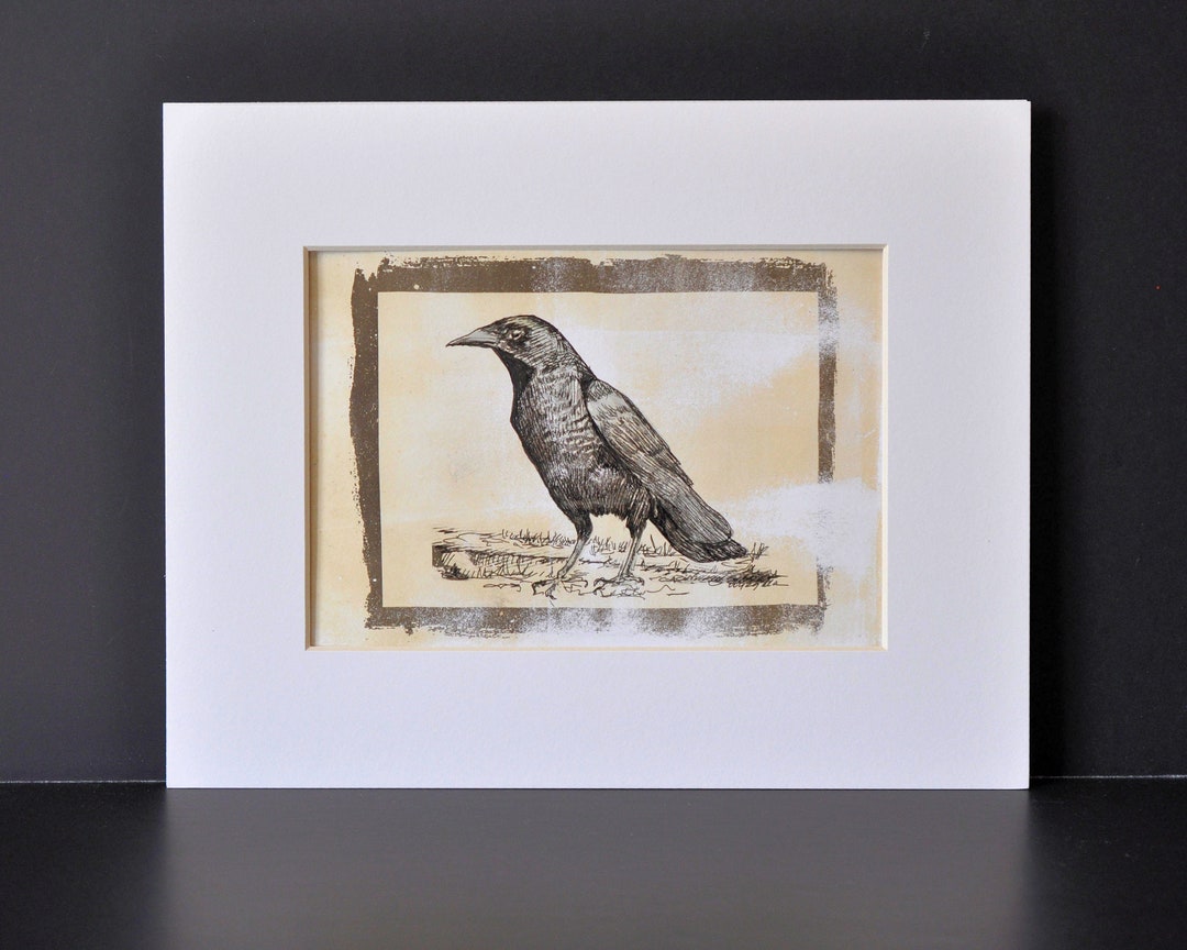Crow Print, Crow Wall Art, Bird Photos, 8 X 10 Matted Print, Original ...