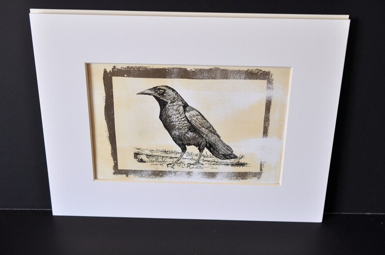 Crow Print, Crow Wall Art, Bird Photos, 8 X 10 Matted Print, Original ...