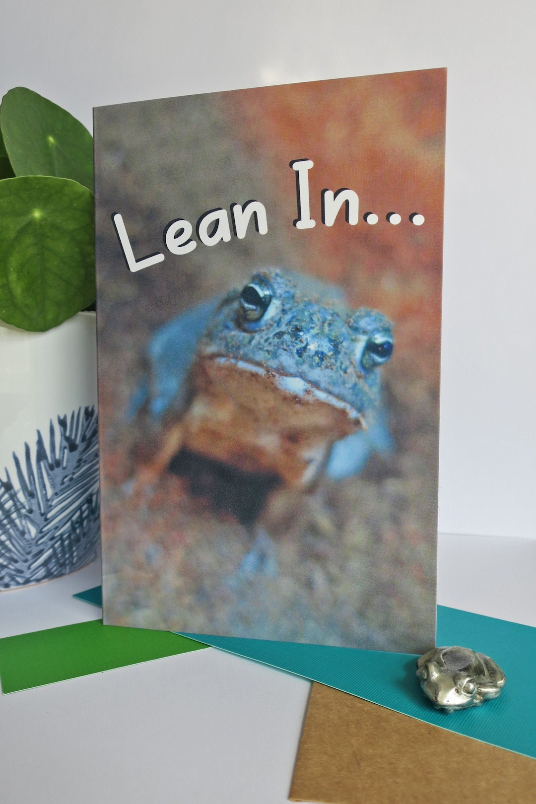 Toad Birthday Card - Etsy