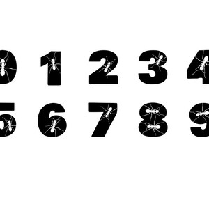 Ants in My Pants, Ant Font, TTF, Alphabet With Ants, Ant Letters, Ant ...