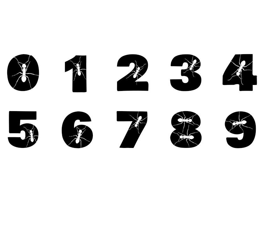 Ants in My Pants, Ant Font, TTF, Alphabet With Ants, Ant Letters, Ant ...