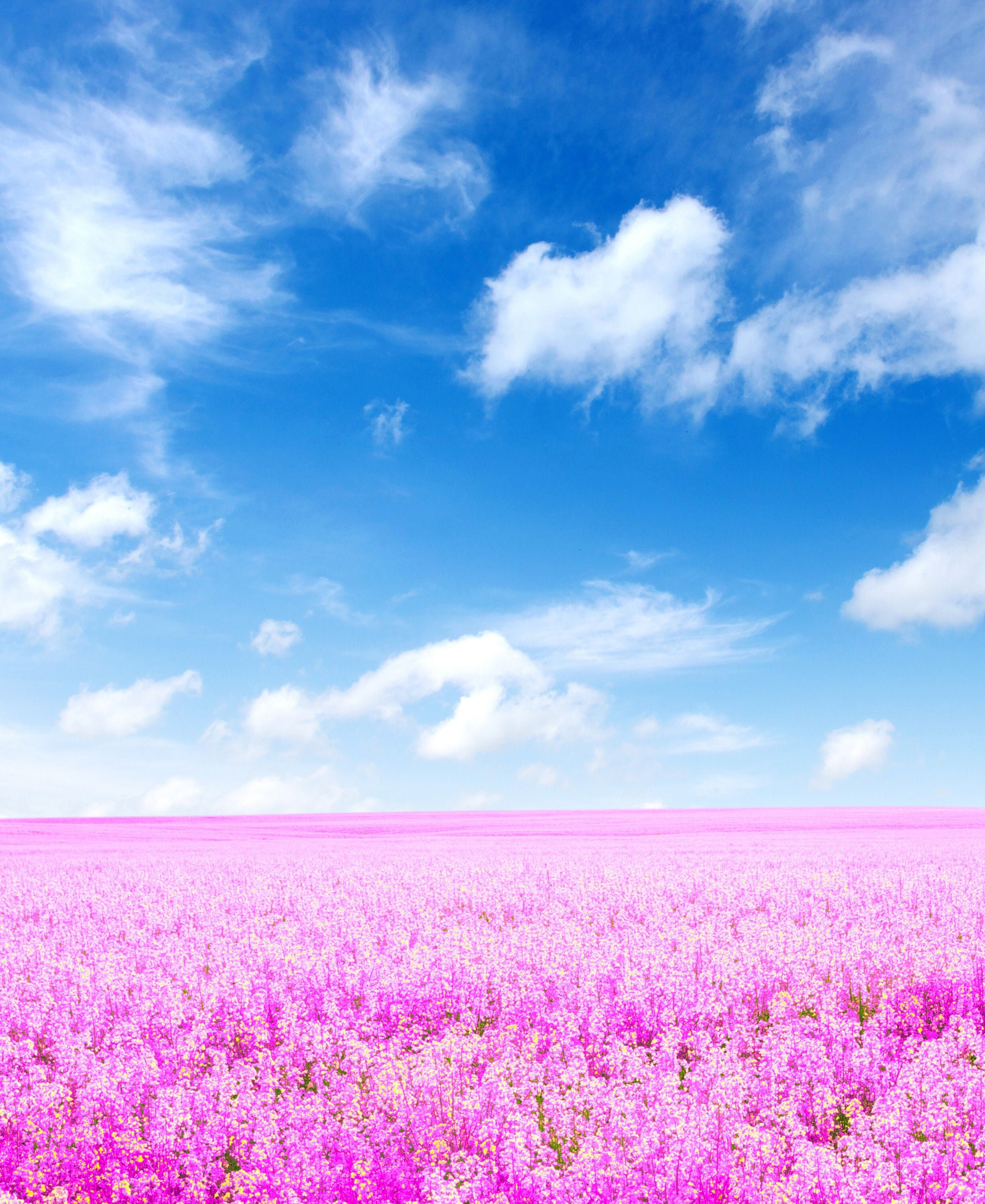 Printable Art Blue Sky Pink Fields - Etsy UK
