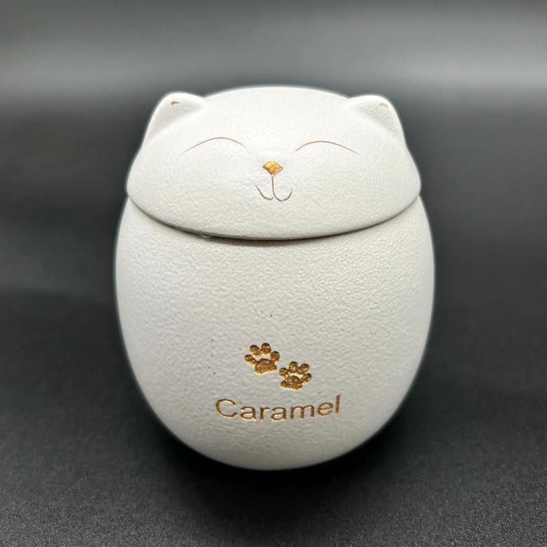 Custom Pet Paw Urn With Name and Date, Pet Memorial Artwork, Lost Pet ...