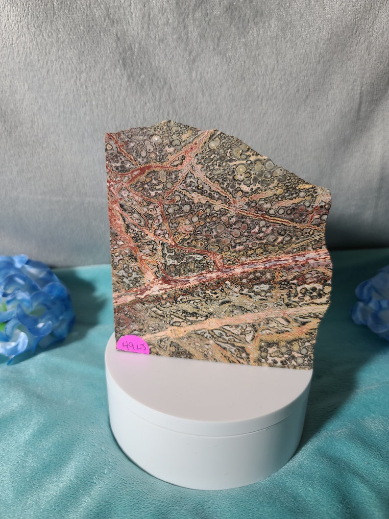 Leopard Skin Jasper Slab Crystal Slabs Spotted Stone - Etsy