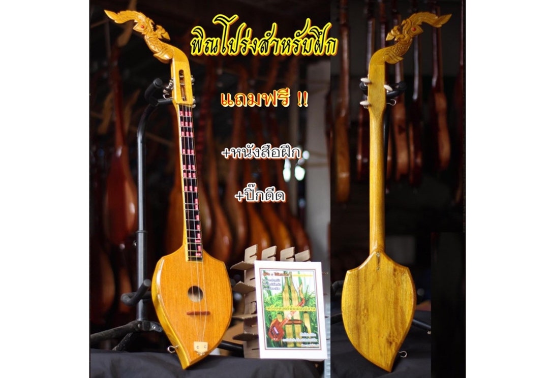 An Acoustic Harp for Practice, Comes With a Book and a Pick - Etsy