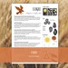 Lugh Celtic God Printable Grimoire Pages - Etsy