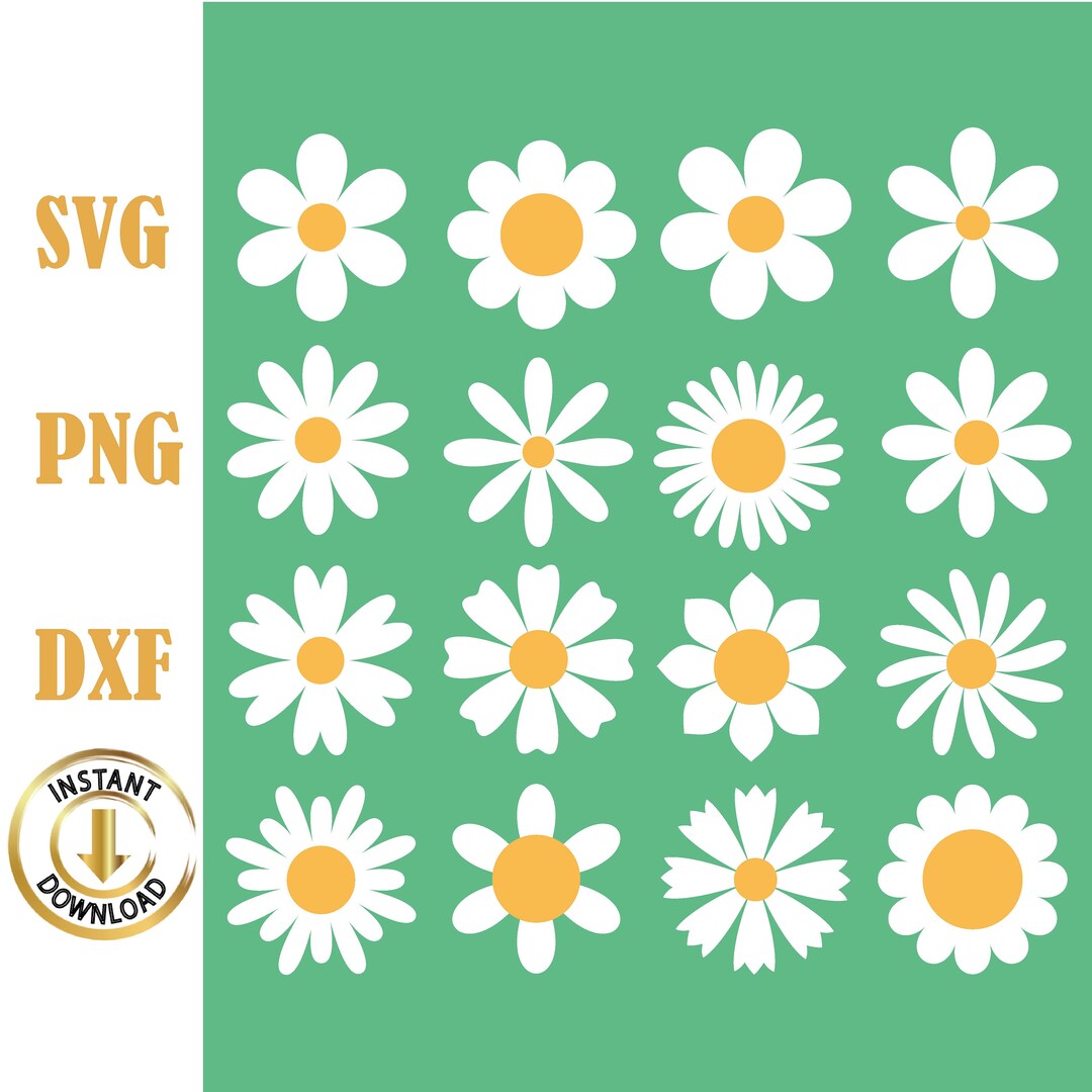 Daisy Svg Bundle, Flower Svg Files for Cricut, Clipart Cut Files for ...